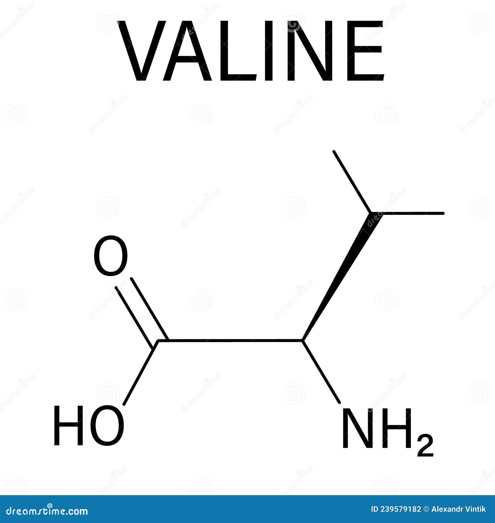 Valine or L-valine, Val, V, Amino Acid Molecule. Skeletal Formula Stock ...
