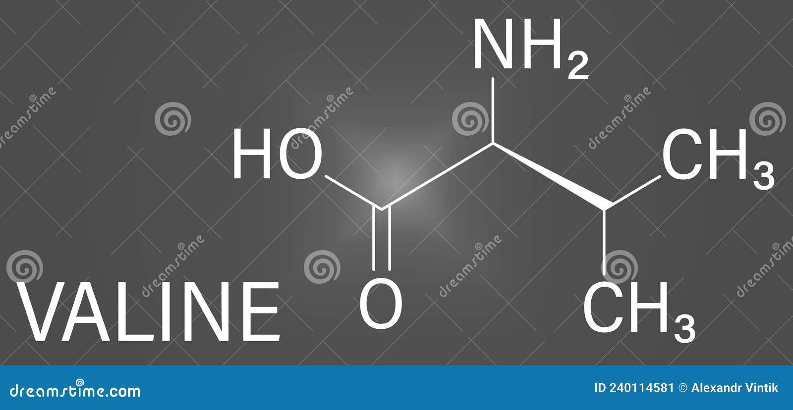 Valine or L-valine, Val, V, Amino Acid Molecule. Skeletal Formula Stock ...