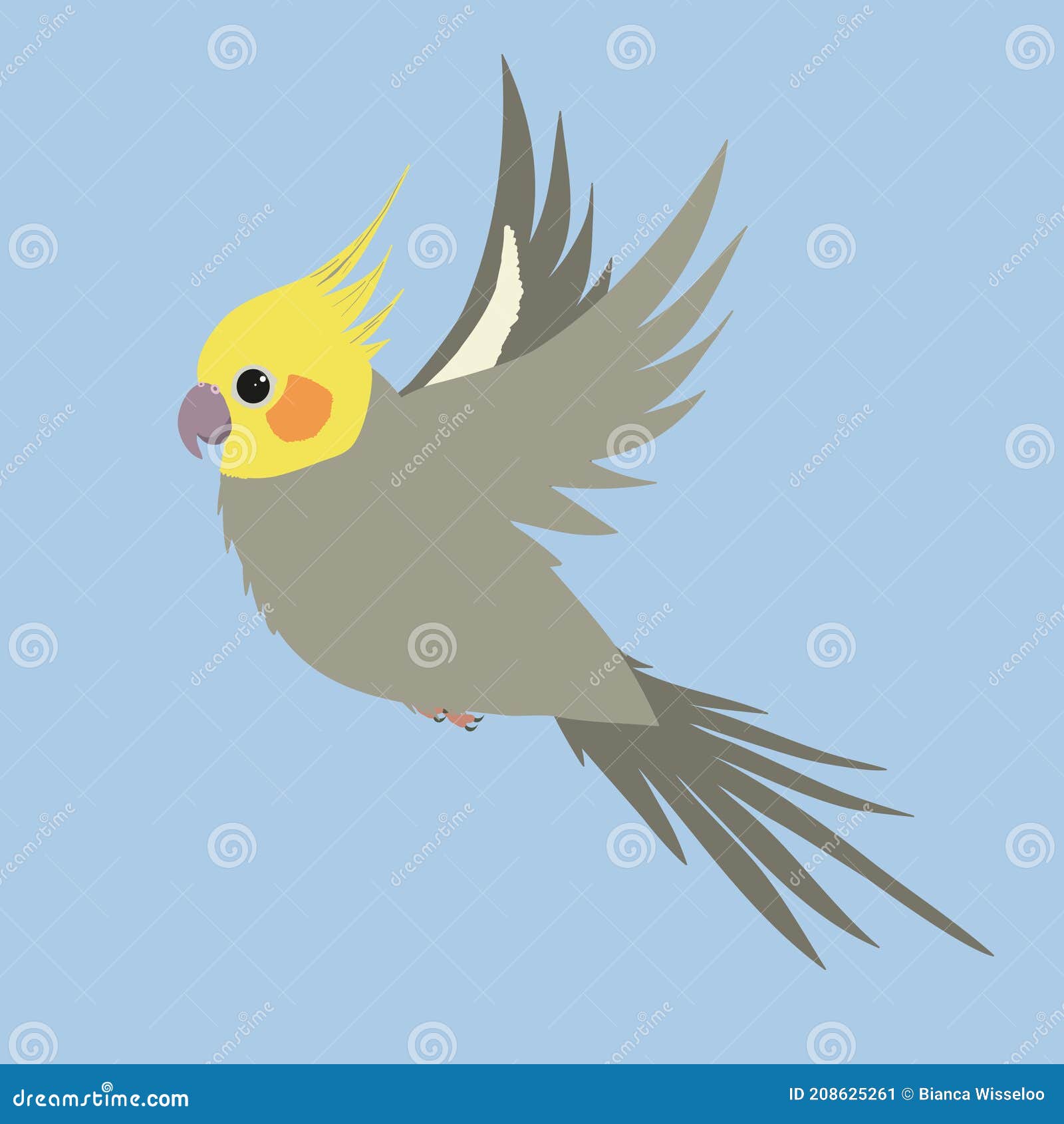 An Illustration of a Flying Cockatiel Stock Vector - Illustration of ...