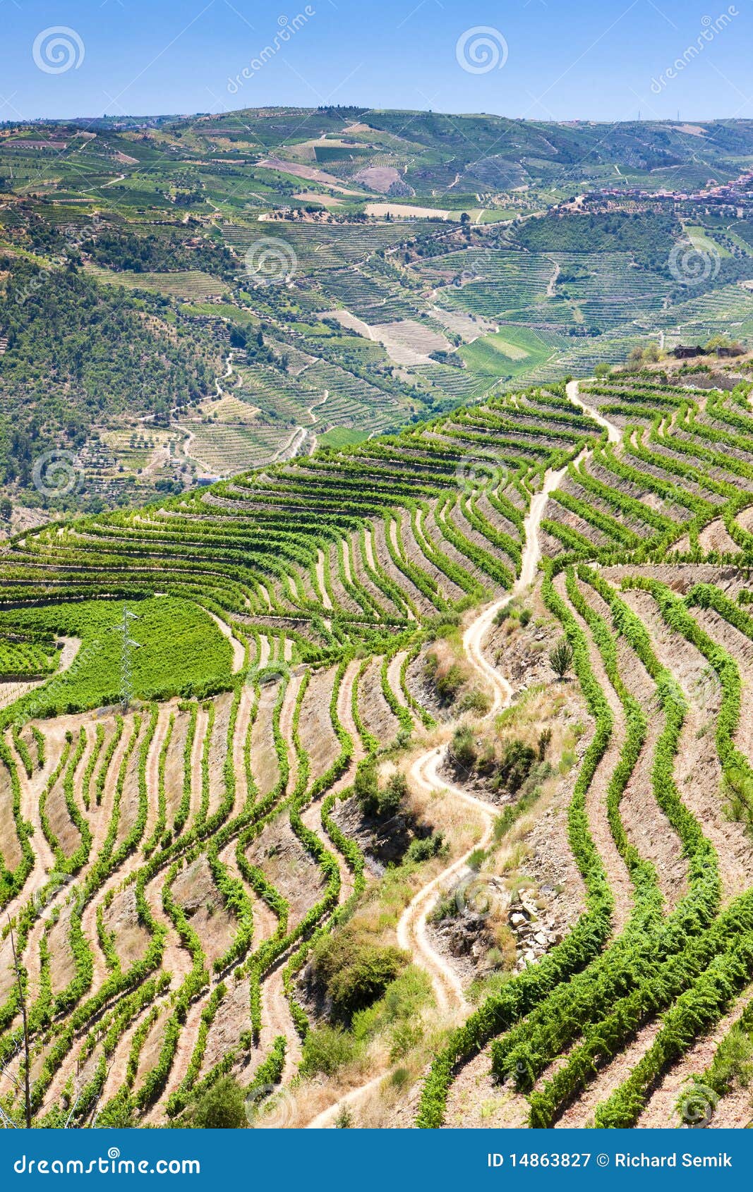 Valle de Douro imagen de archivo. Imagen de cultive, paisajes - 14863827