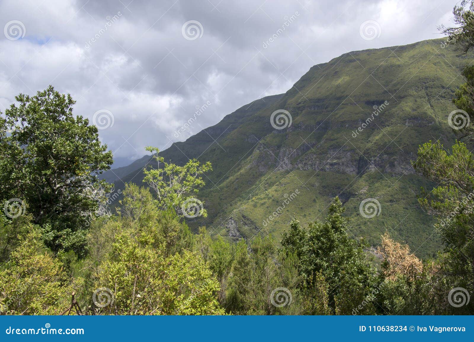 Valle De Rabacal, Isla De Madeira, Portugal Foto de archivo - Imagen de ...
