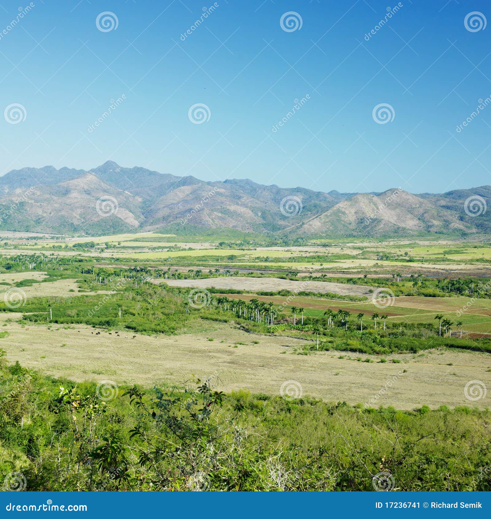 Valle Di Los Ingenios, Cuba Immagine Stock - Immagine di scenico ...