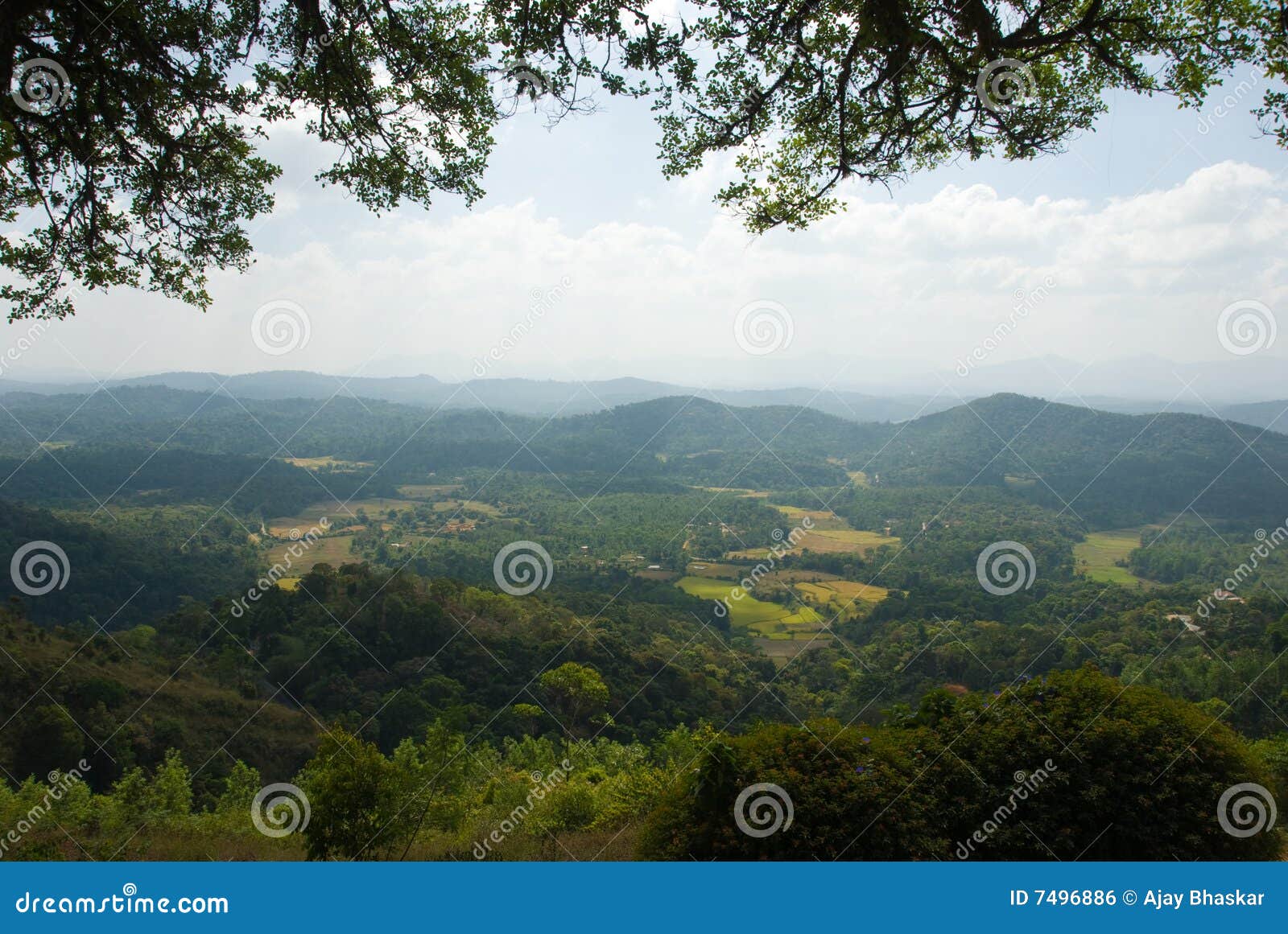 Valley stock photo. Image of serene, scenery, open, river - 7496886