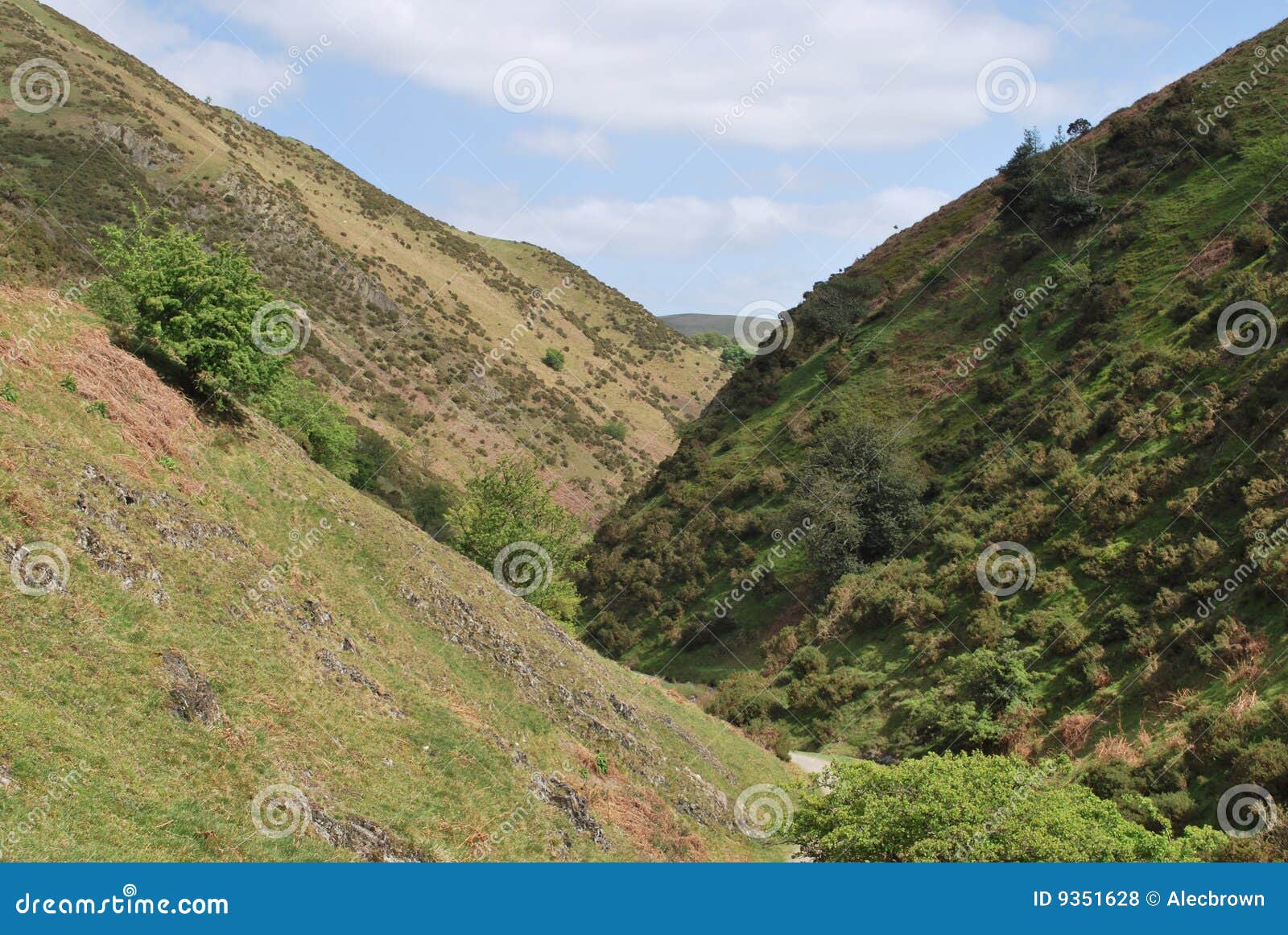 Valley stock photo. Image of trees, england, beauty, sided - 9351628