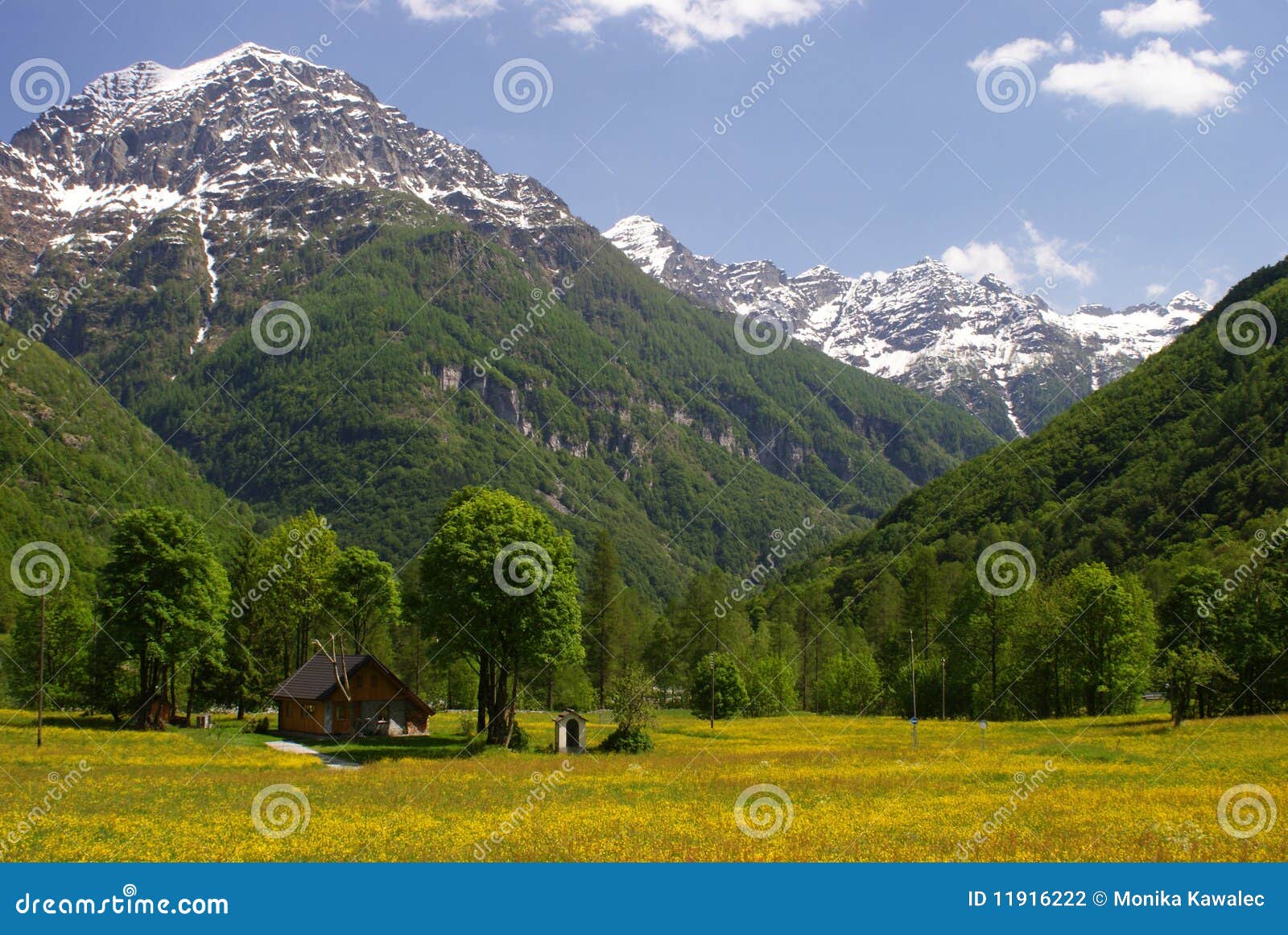 Valley in Alps stock photo. Image of meadow, sunny, summer - 11916222