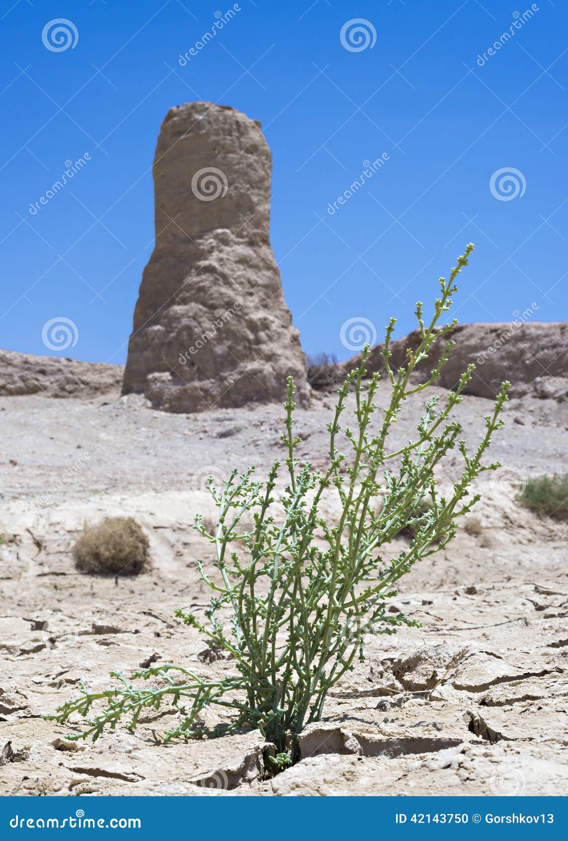 Valley of Arava Desert , Israel Stock Photo - Image of mountain, east ...