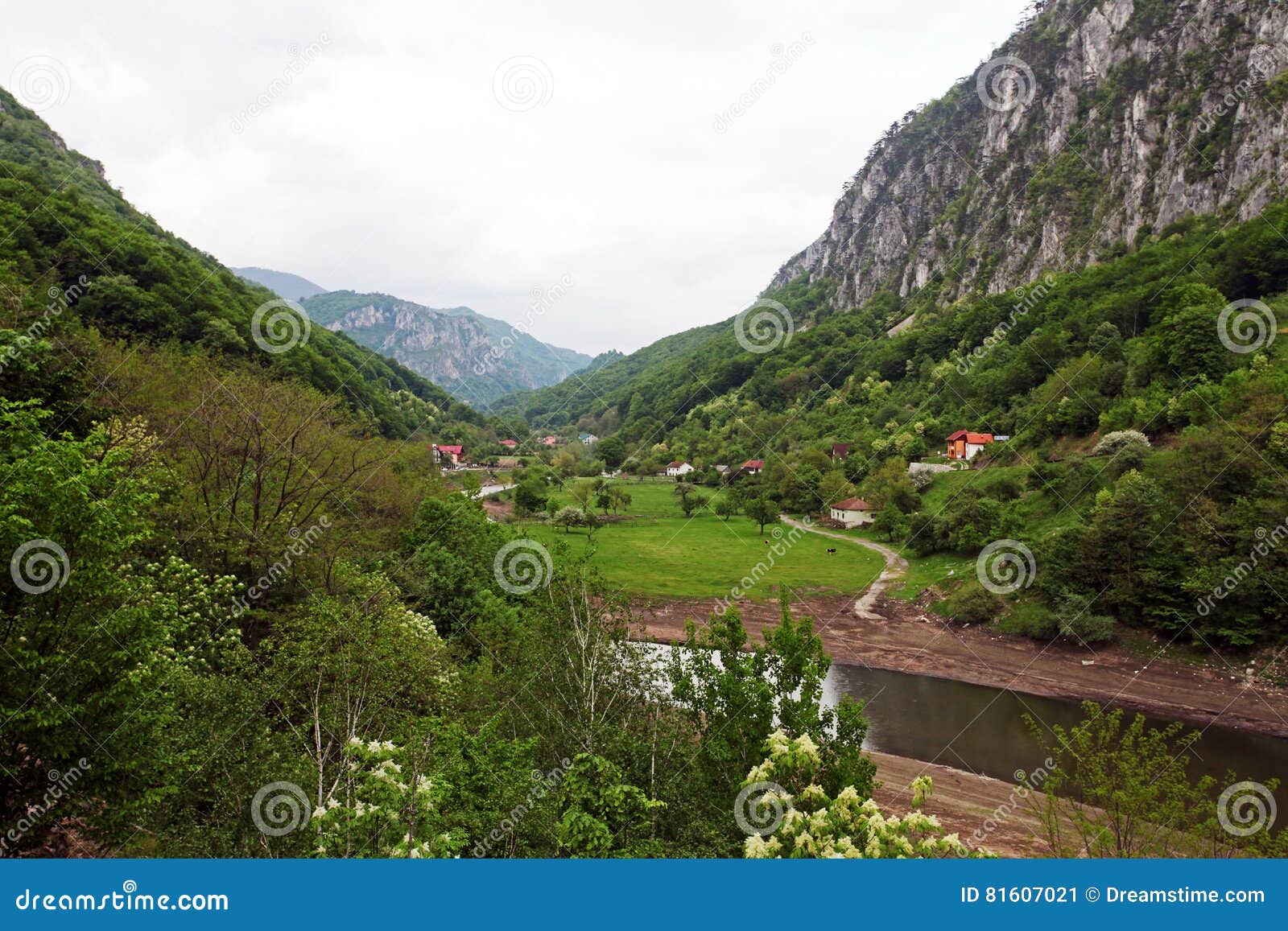 Valley of Cerna River Landscape, Romania Stock Image - Image of ...