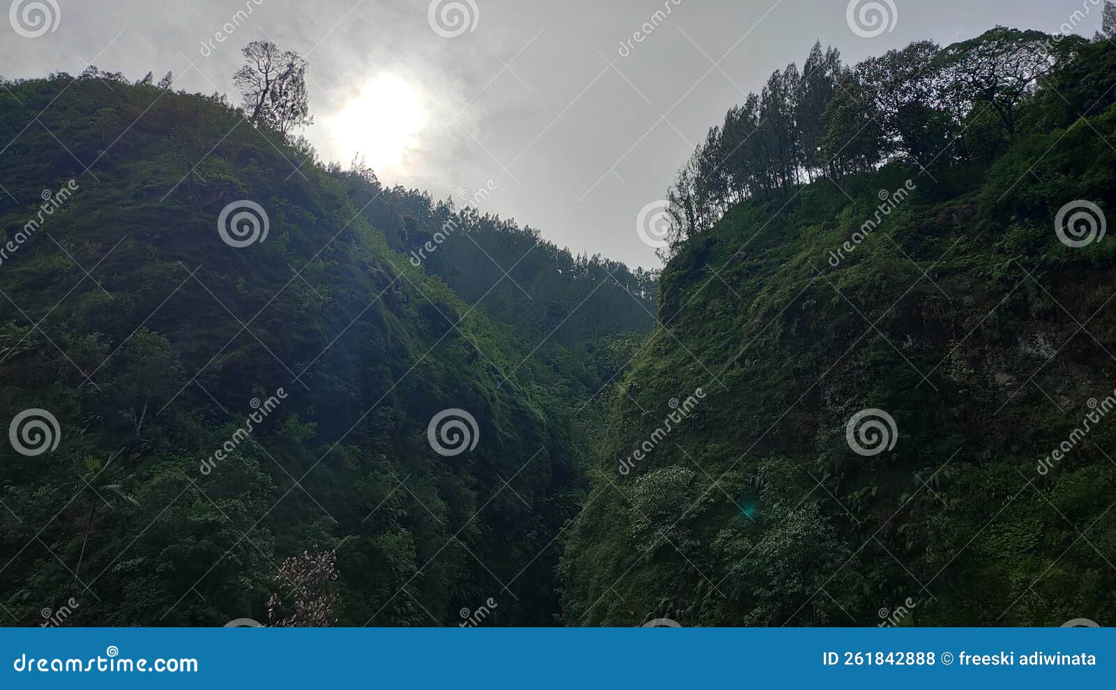 Valley in the Cuban Manan Forest Batu Stock Photo - Image of batu ...
