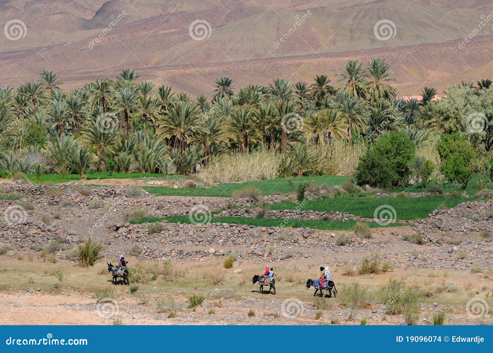 Valley of the Draa River editorial stock image. Image of valley - 19096074