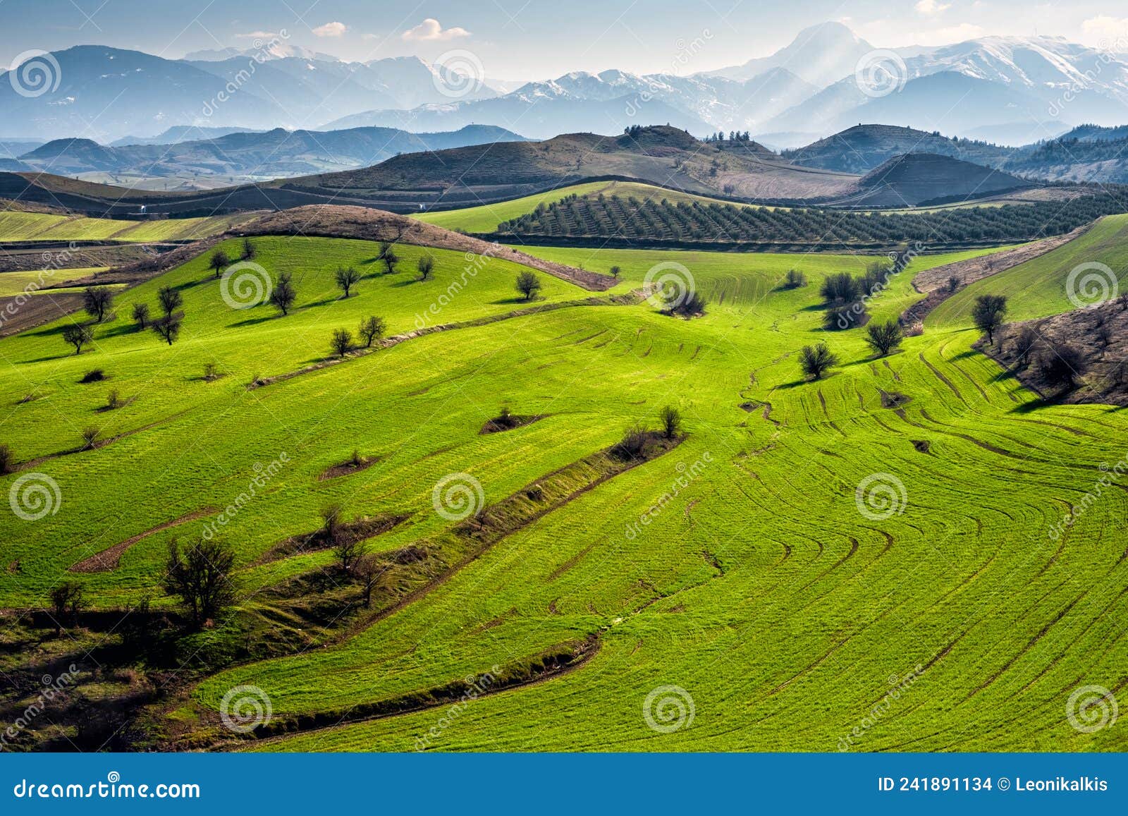 Valley, Fields, Landscape in Turkey Editorial Stock Image - Image of ...