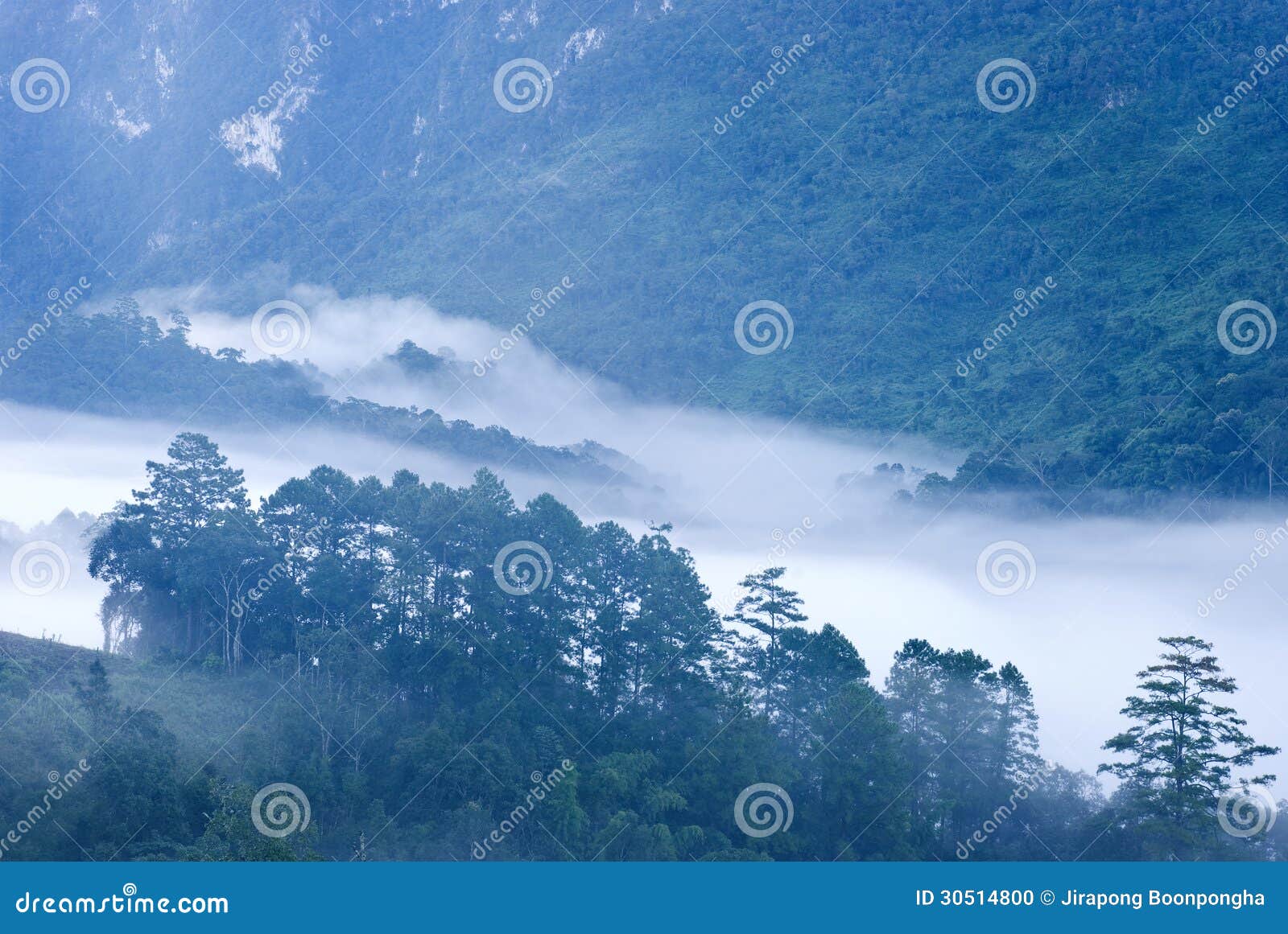 Valley of fog stock photo. Image of land, fresh, natural - 30514800