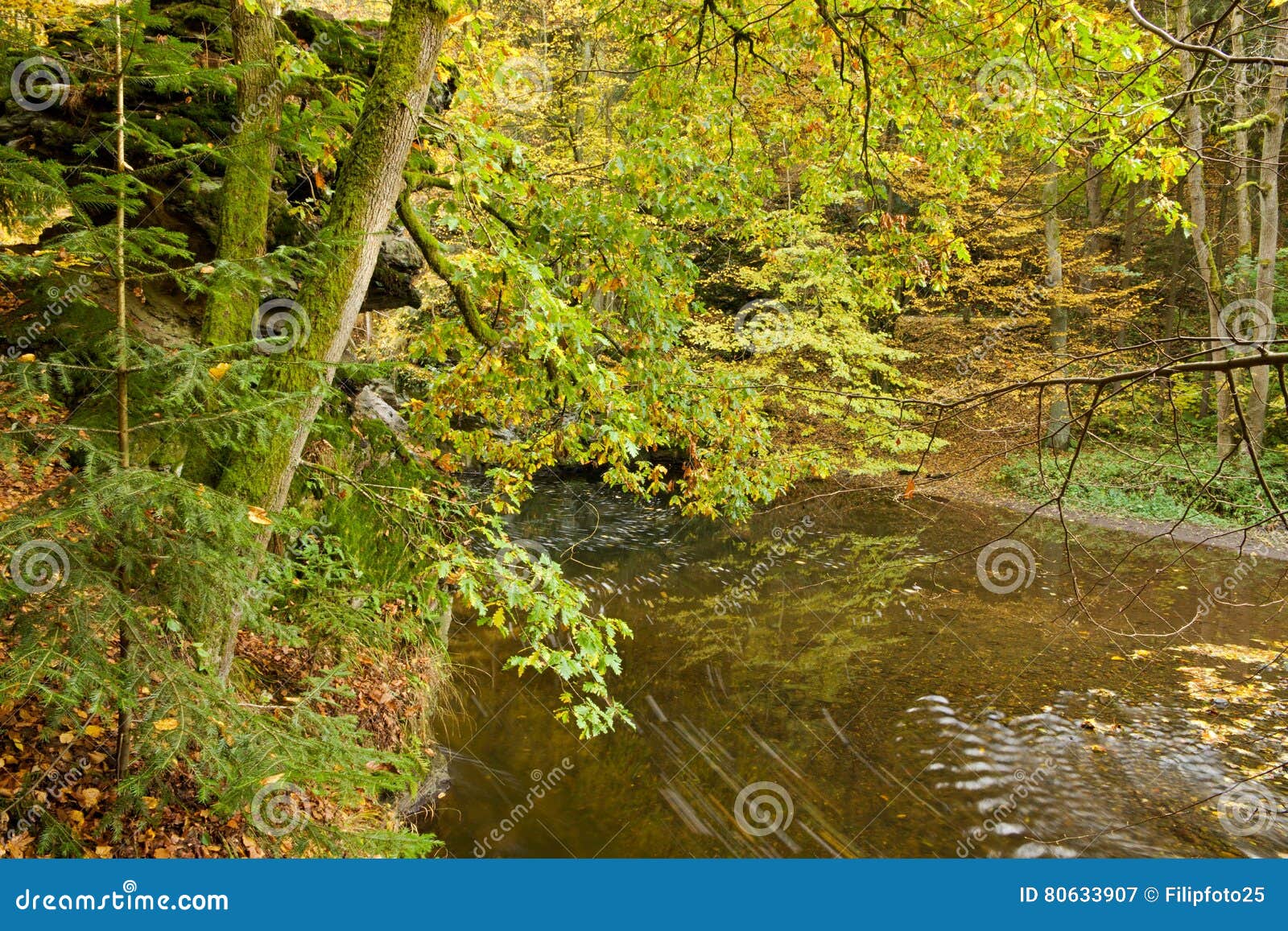 Valley in the forest stock image. Image of leaf, autumn - 80633907