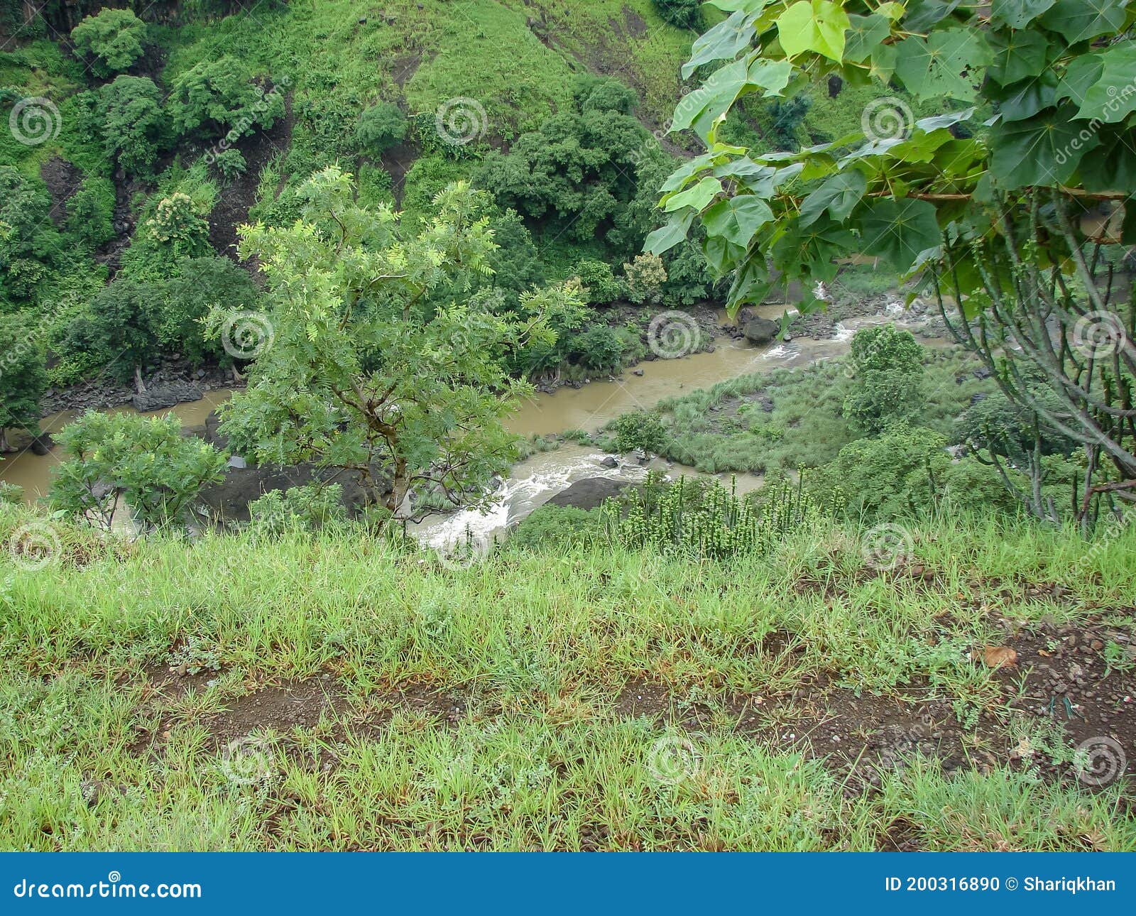 Valley and Forest River Flowing at the End of Slope Stock Photo - Image ...