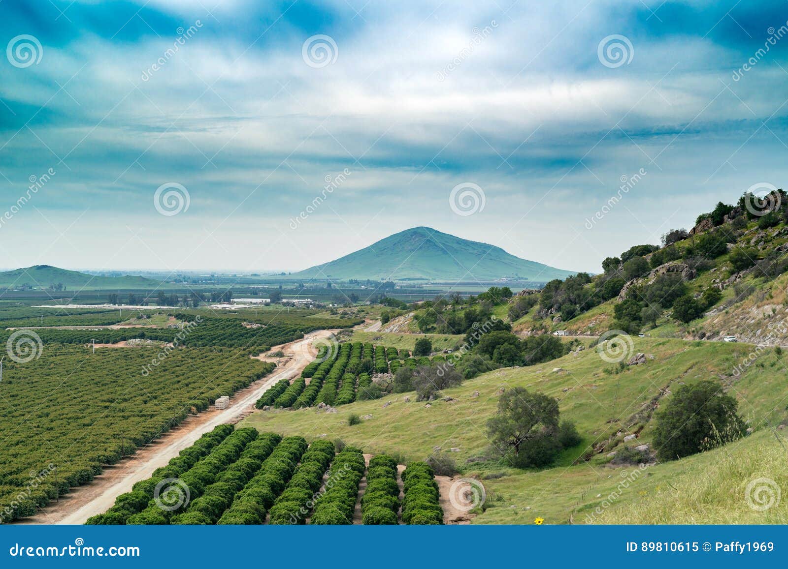 The Valley with Fruit Tree Gardens Stock Image - Image of tree ...