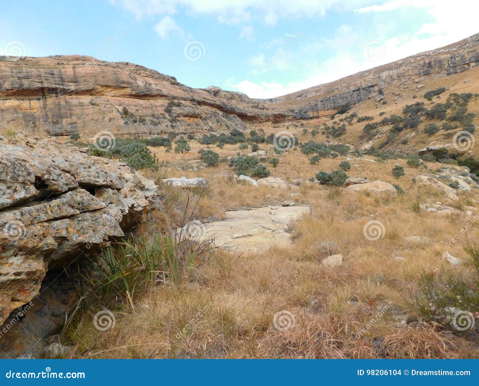 Valley hills stock photo. Image of hills, region, valley - 98206104