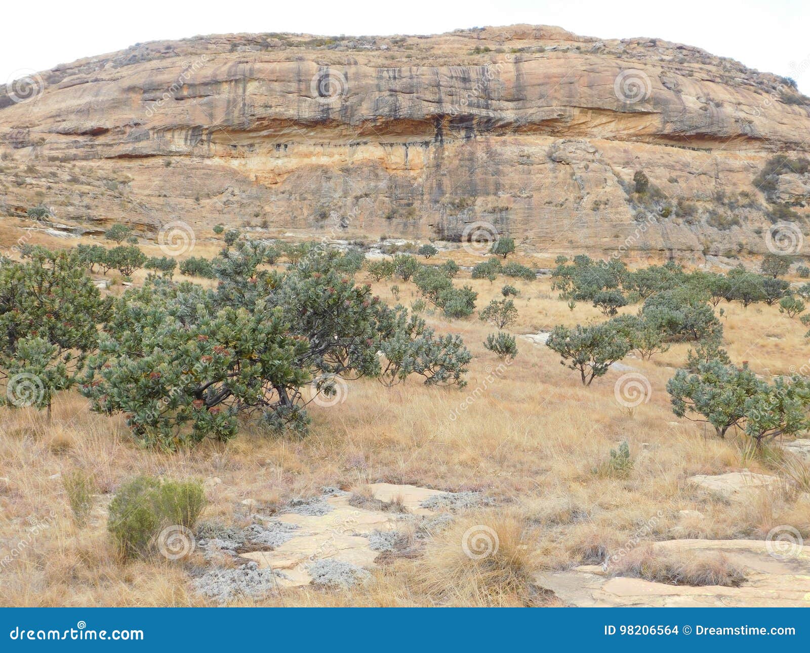 Valley hills stock photo. Image of biome, escarpment - 98206564