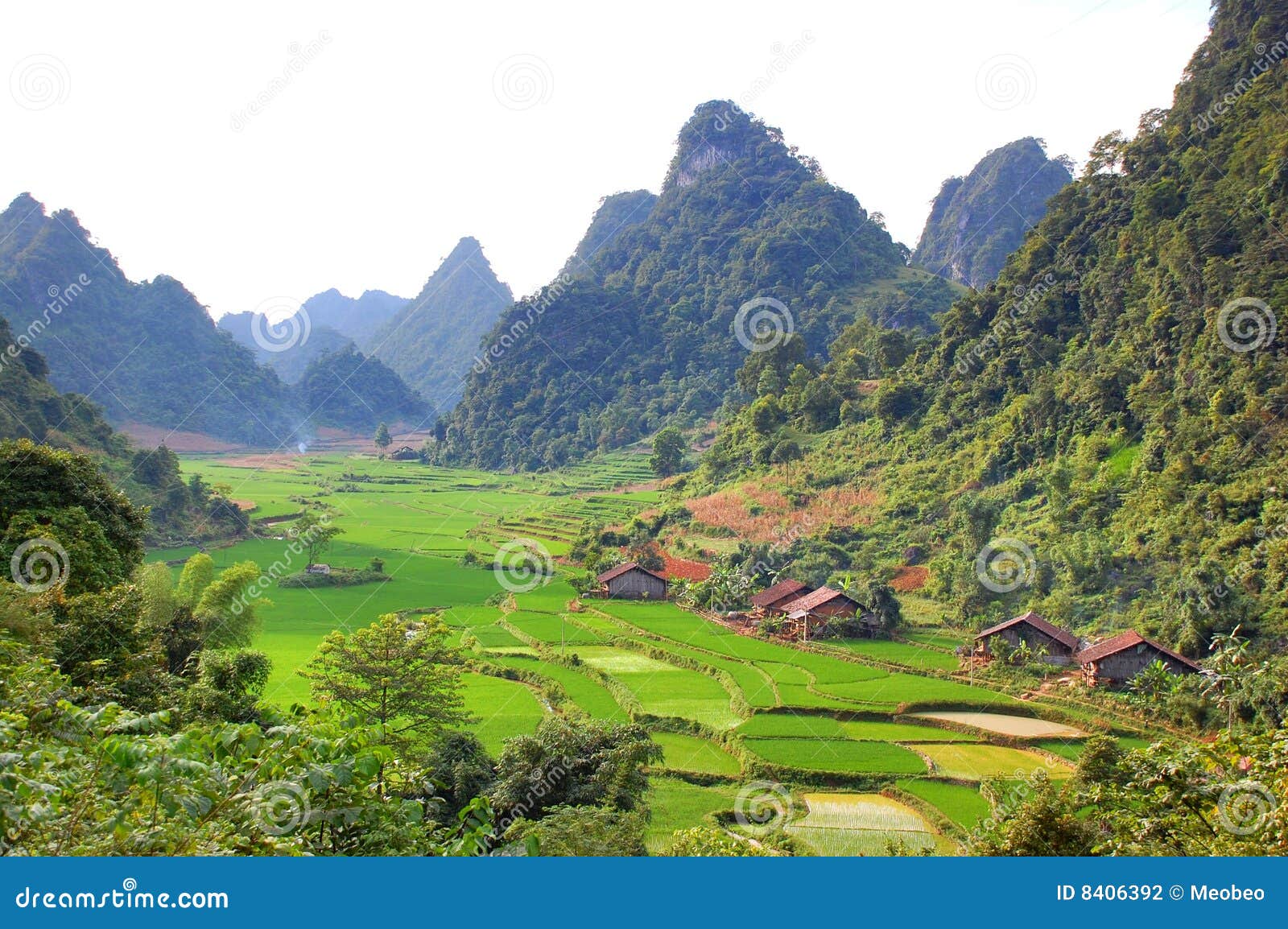 Valley Landscape in Vietnam Stock Photo - Image of mountain, babana ...