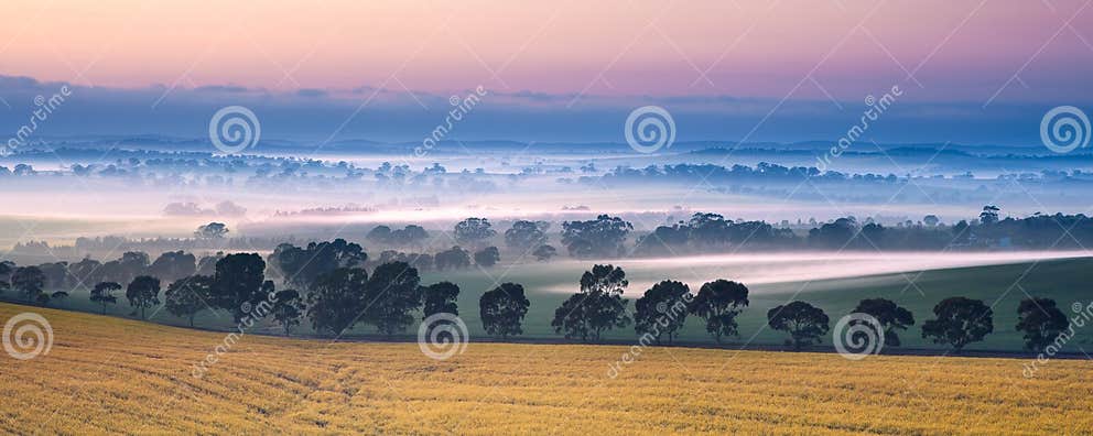 Valley Mist stock photo. Image of australia, aussie, sunrise - 28685188