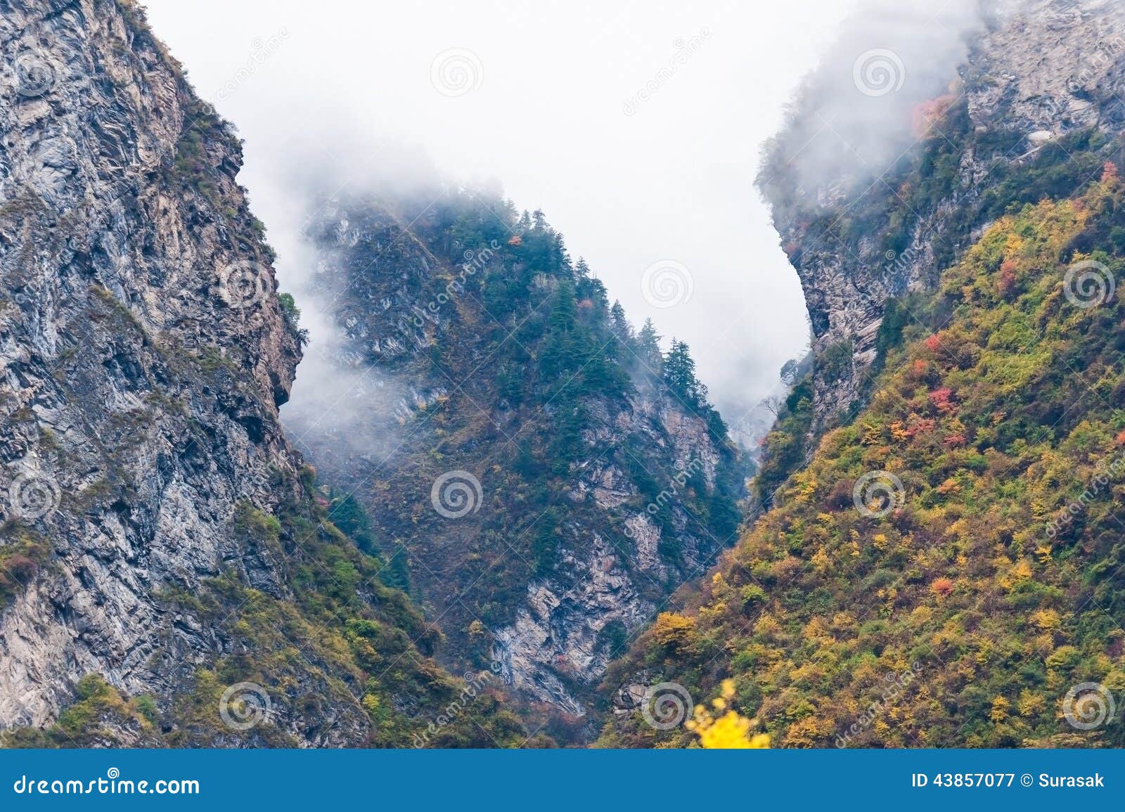 Valley in the mist stock image. Image of magnificence - 43857077