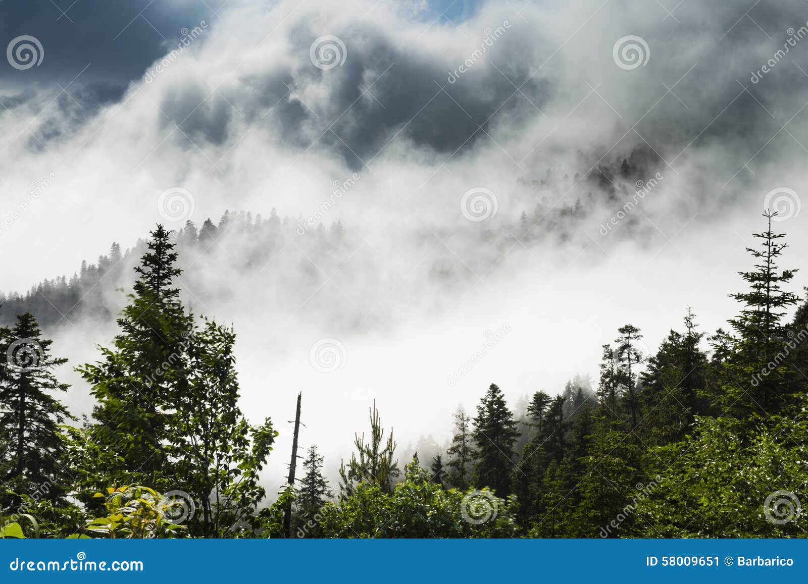 Valley mist stock image. Image of europe, mist, trees - 58009651