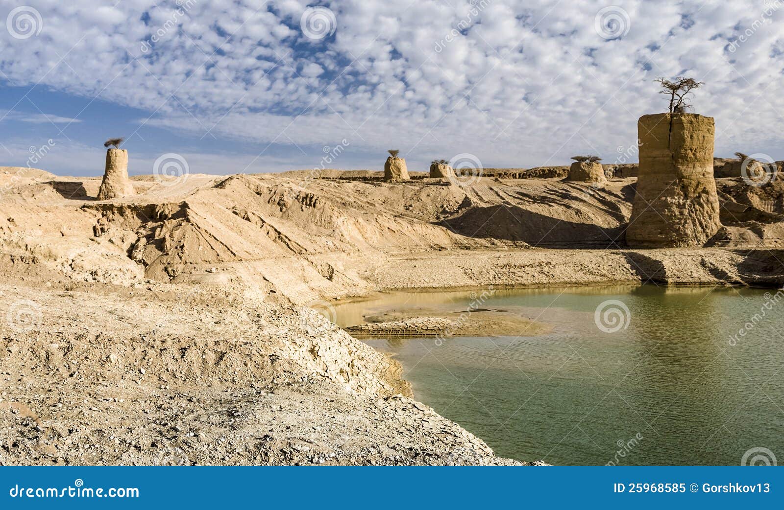 156 Negev Desert Rain Stock Photos - Free & Royalty-Free Stock Photos ...