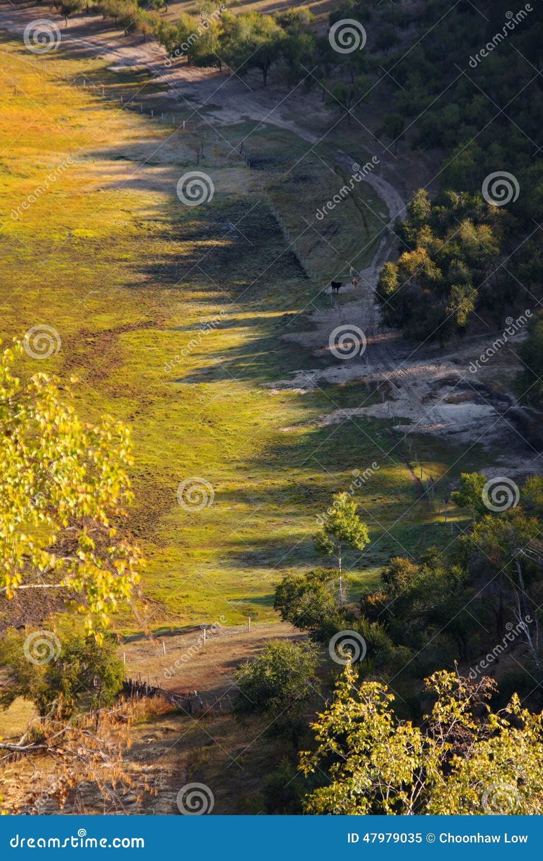 The valley stock image. Image of trees, natural, quiet - 47979035