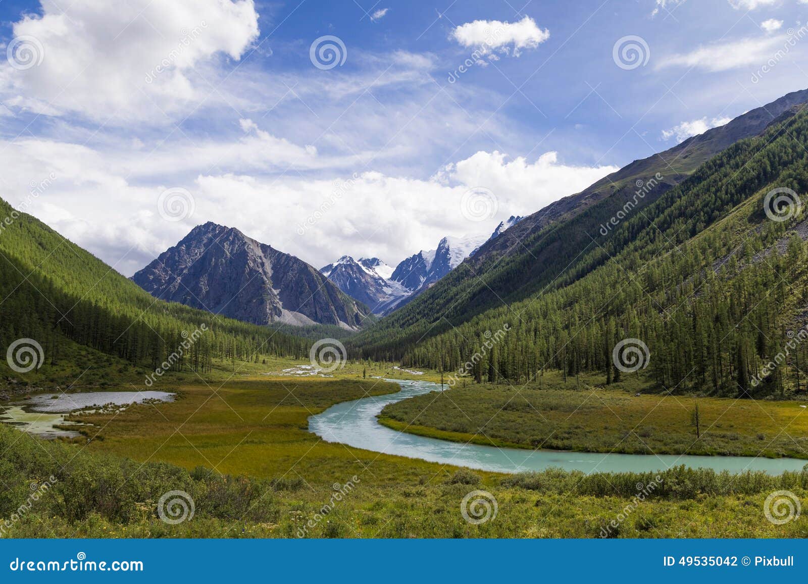 Valley of the Mountain River Stock Photo - Image of altai, clear: 49535042