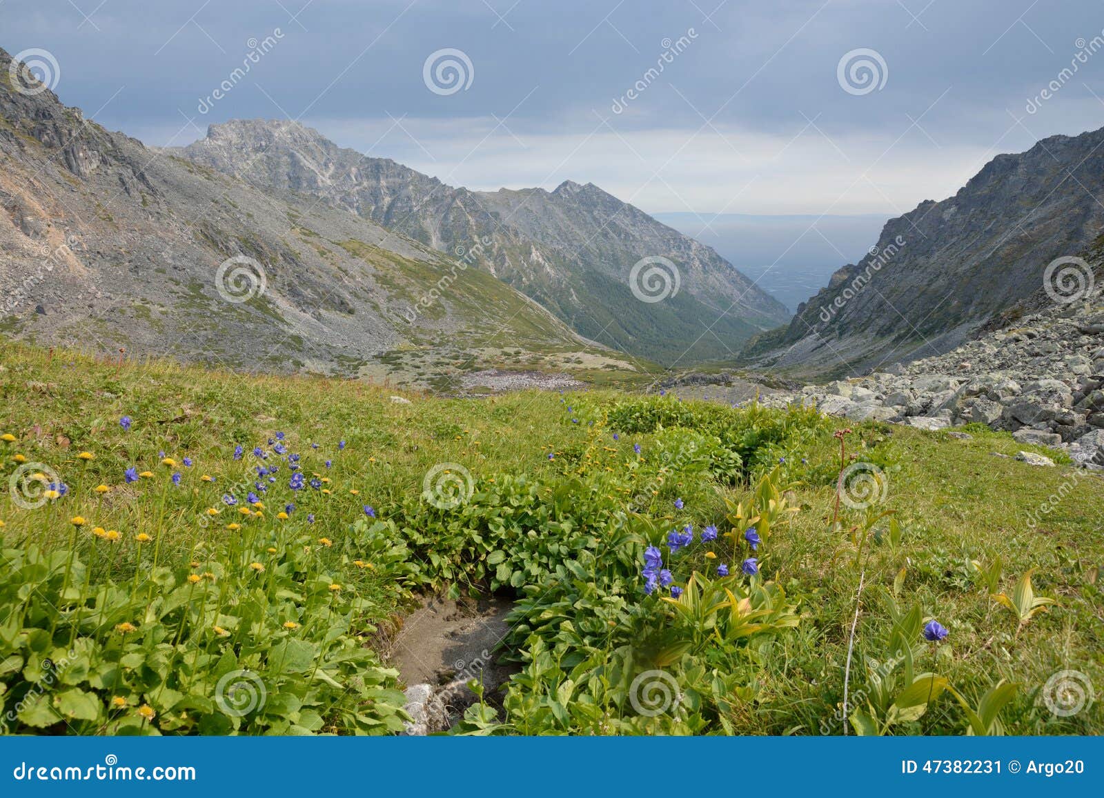 The Valley in the Mountains of the Barguzin Ridge at Lake Baikal Stock ...
