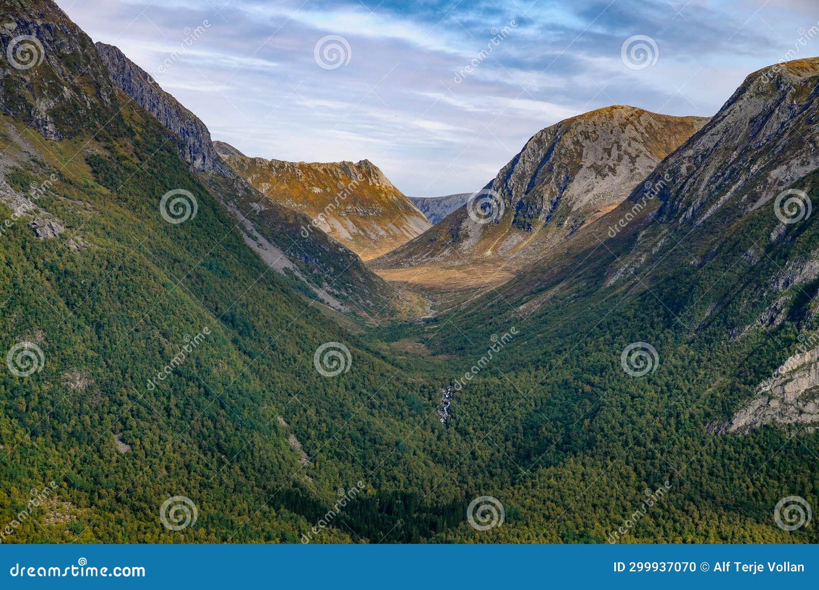 A Valley between Mountains with Trees Stock Photo - Image of adventure ...
