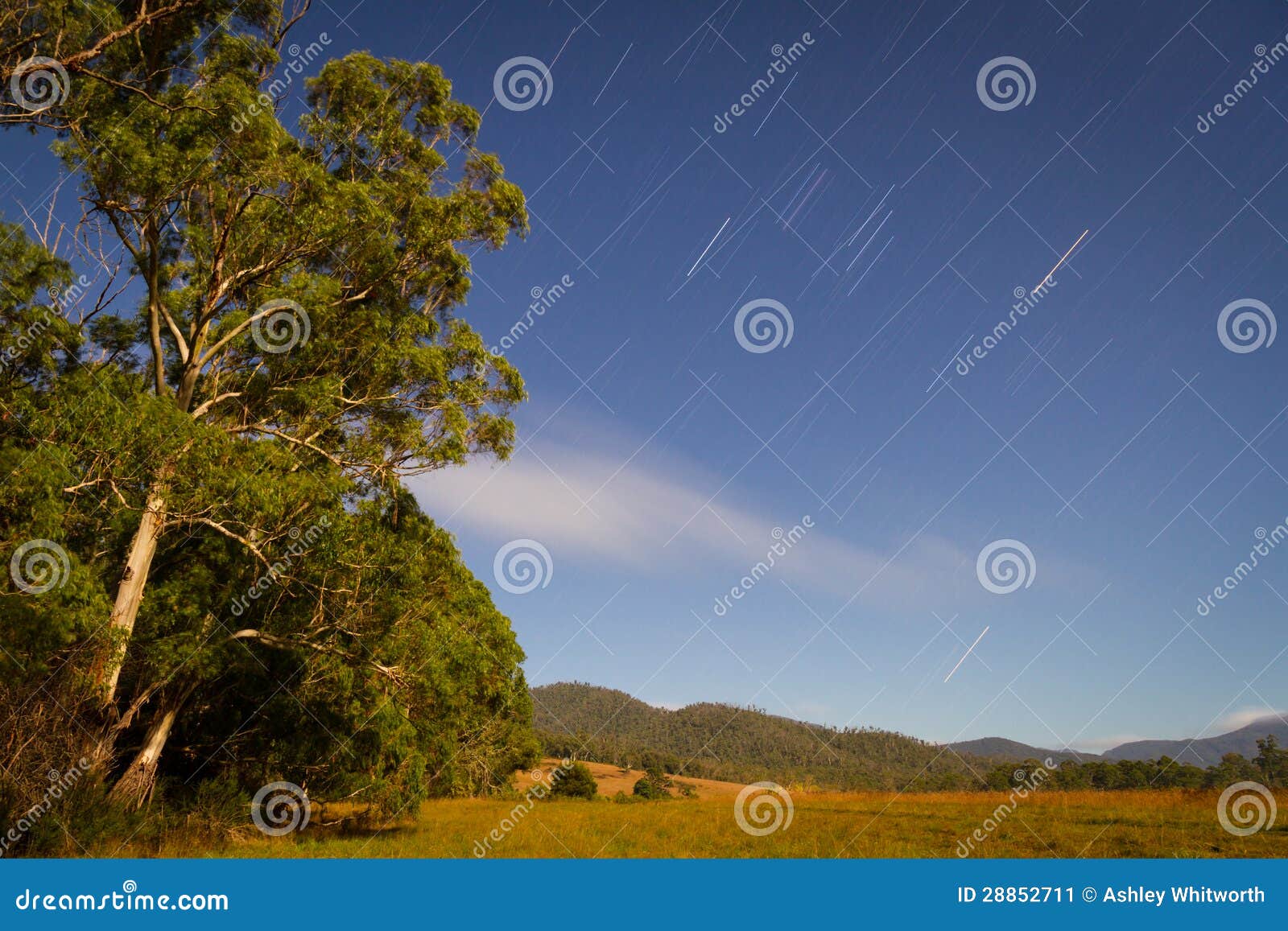 Valley by night stock image. Image of blue, tree, valley - 28852711
