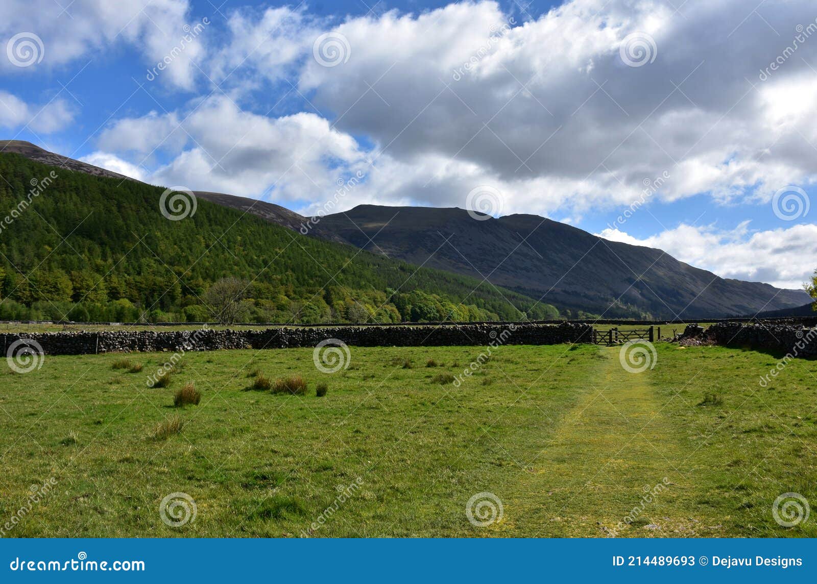 Valley with a Pasture and a Stonewall in England Stock Image - Image of ...
