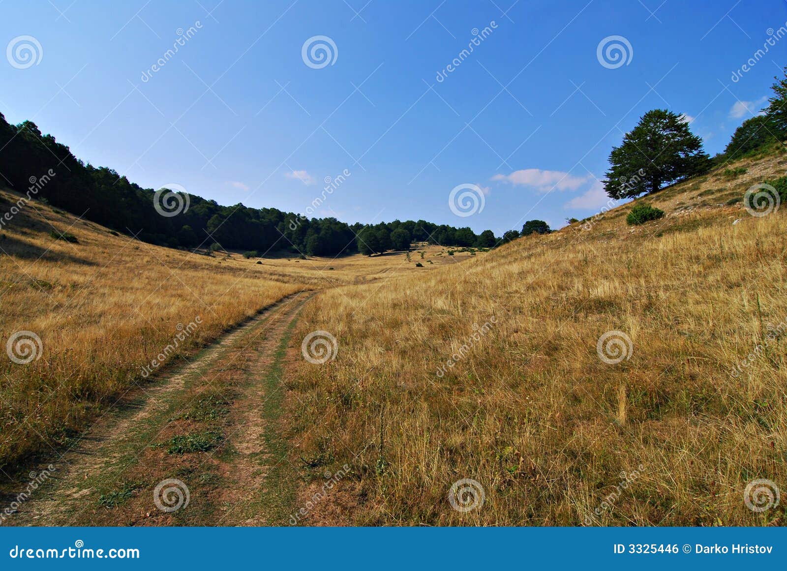 Valley path koritnik stock photo. Image of paradise, grass - 3325446