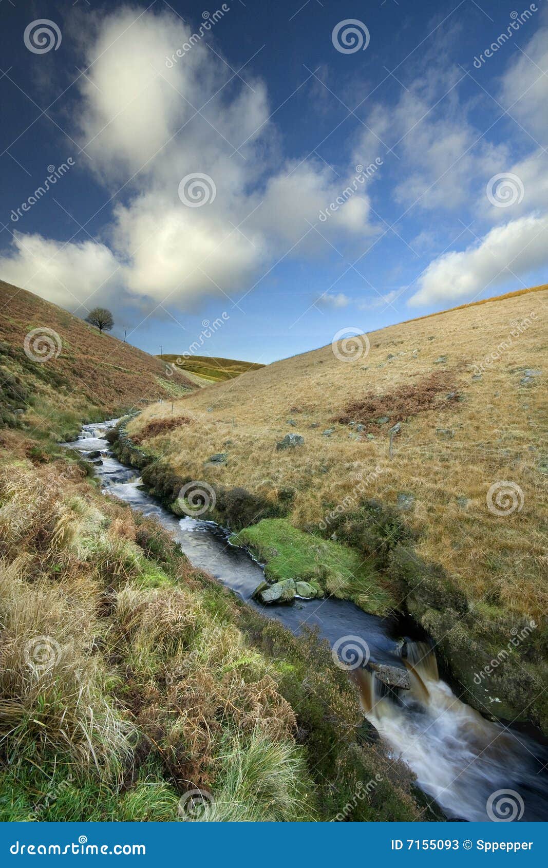 Valley and River stock image. Image of tranquil, landscape - 7155093