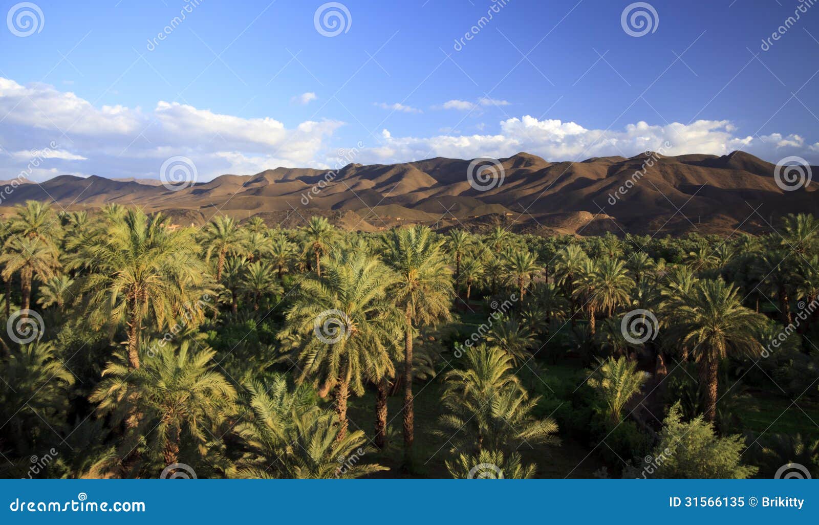 The Valley of the River Draa, Morocco, Africa Stock Image - Image of ...