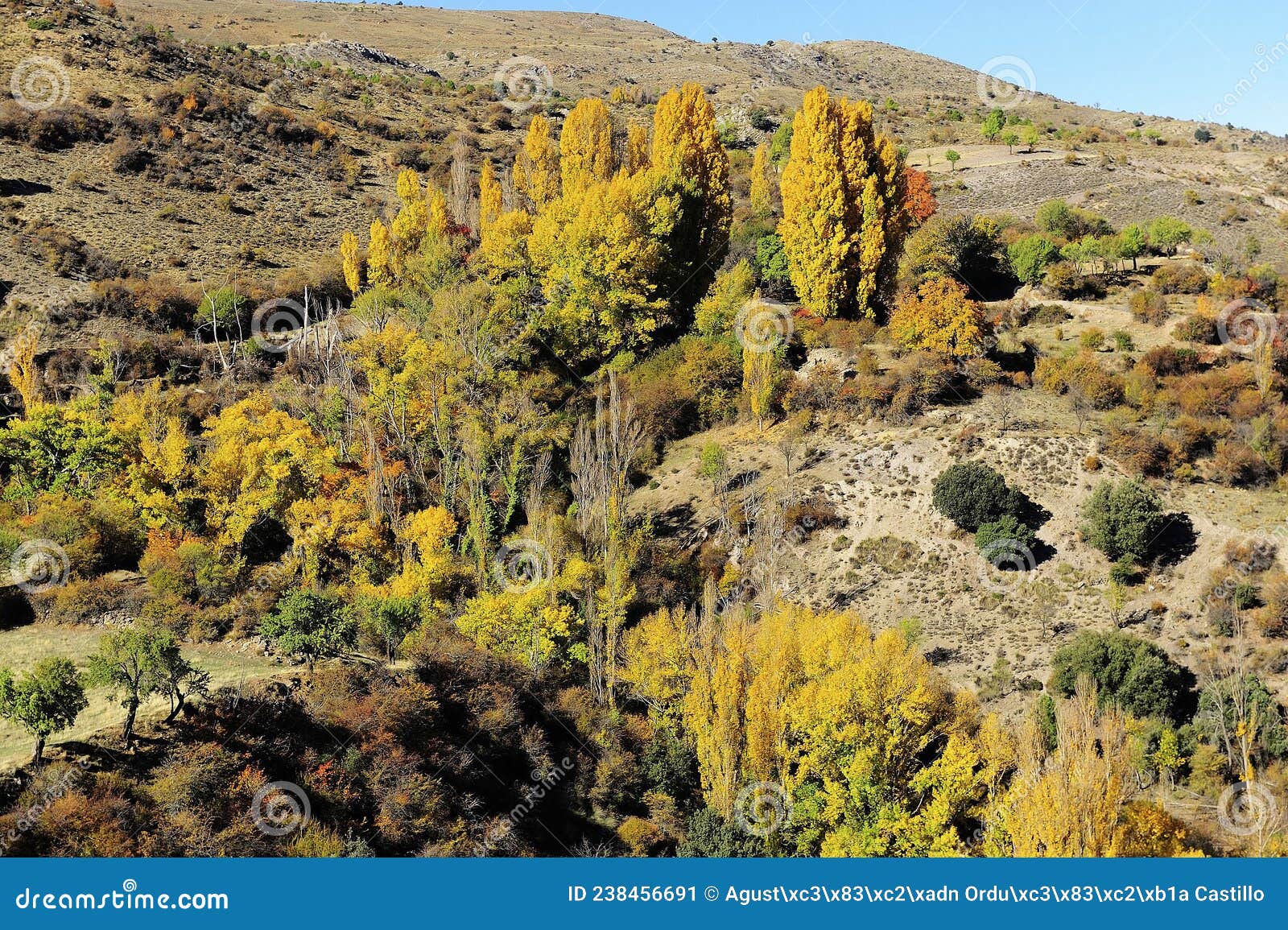 Valley of the River Gor, by the Juntas De Gor, Granada. Stock Image ...