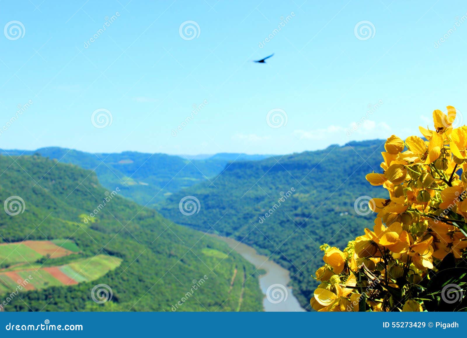 Valley with river stock image. Image of south, nature - 55273429