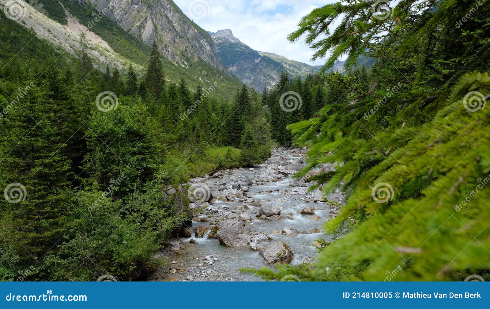 Valley with River Waterfall and Trees in Open Nature Stock Image ...