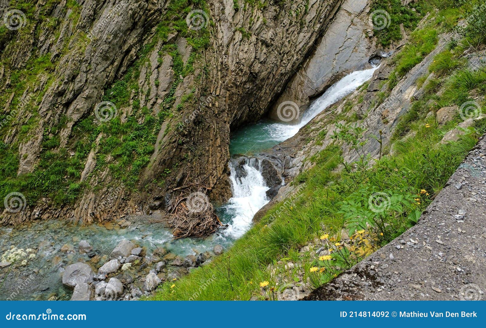 Valley with River Waterfall and Trees in Open Nature Stock Photo ...