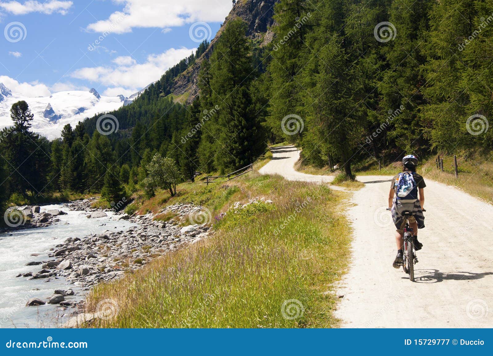 Valley Roseg stock image. Image of forest, meadow, nature - 15729777