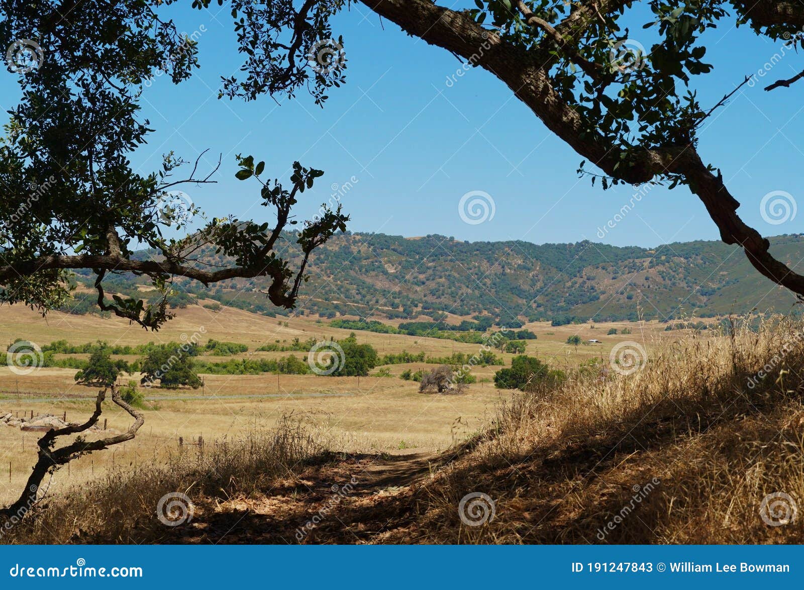 Valley at Santa Ysabel stock image. Image of grassland - 191247843