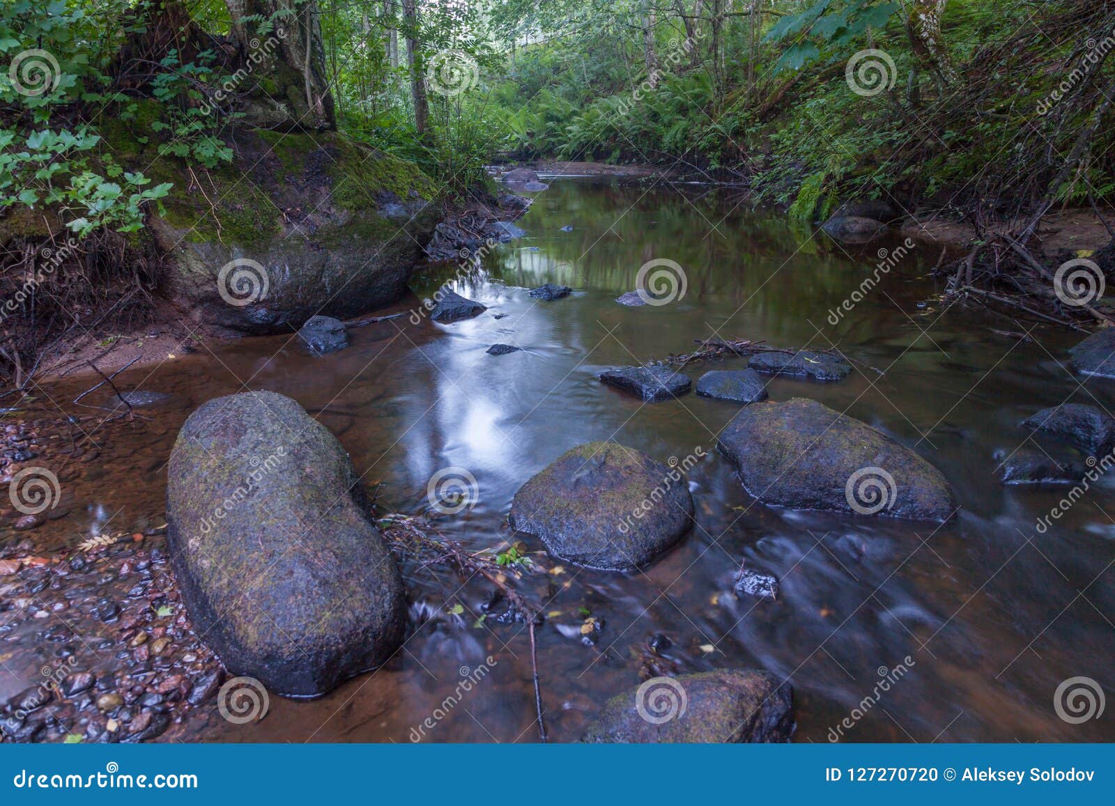 The Valley of a Small River Stock Photo - Image of water, small: 127270720