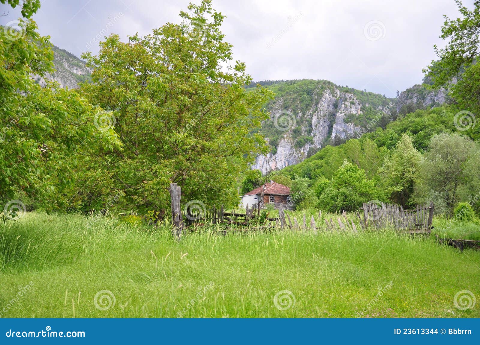 Valley in spring stock photo. Image of freedom, flower - 23613344