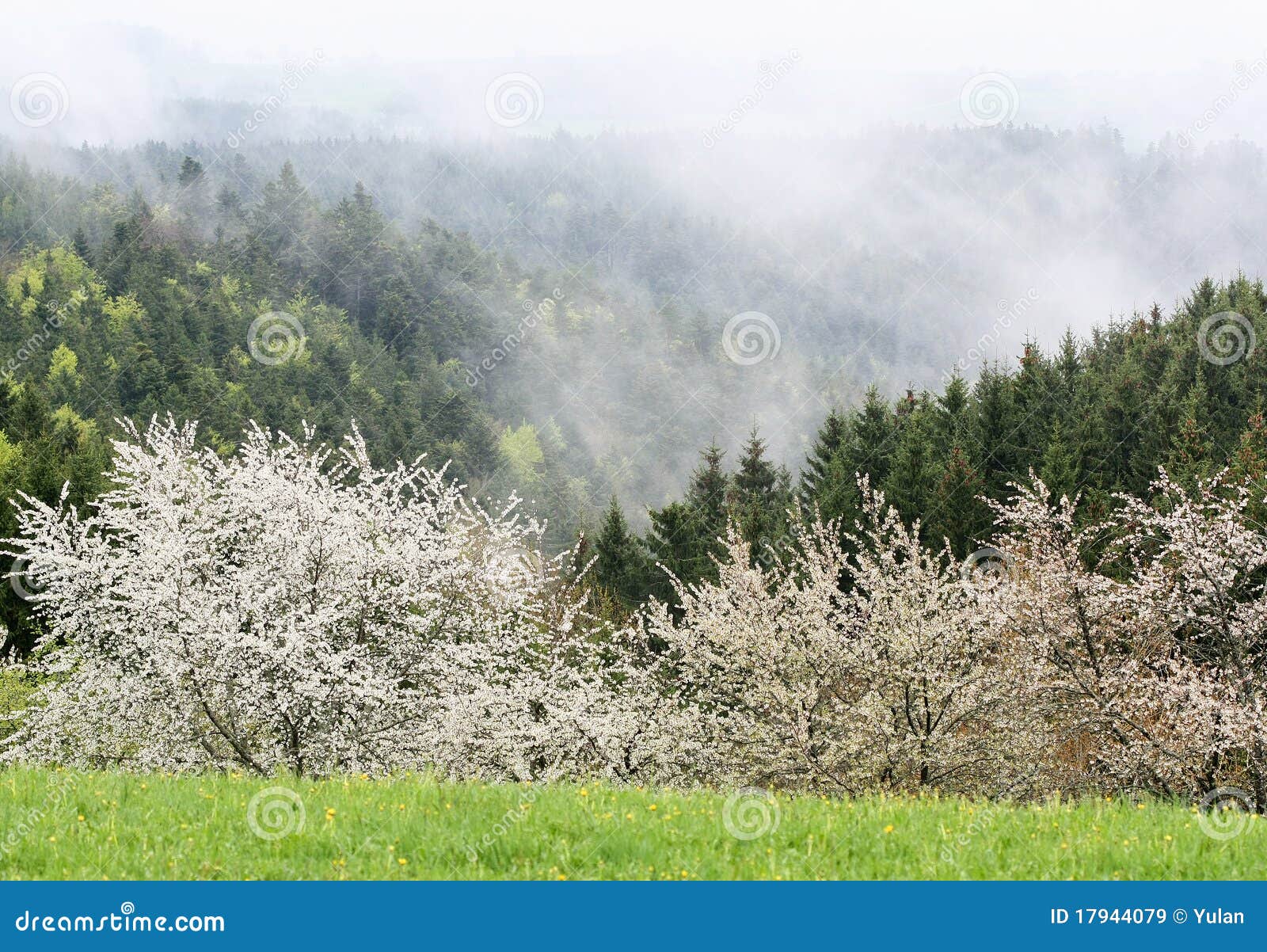 Valley after Spring Rain stock image. Image of rising - 17944079