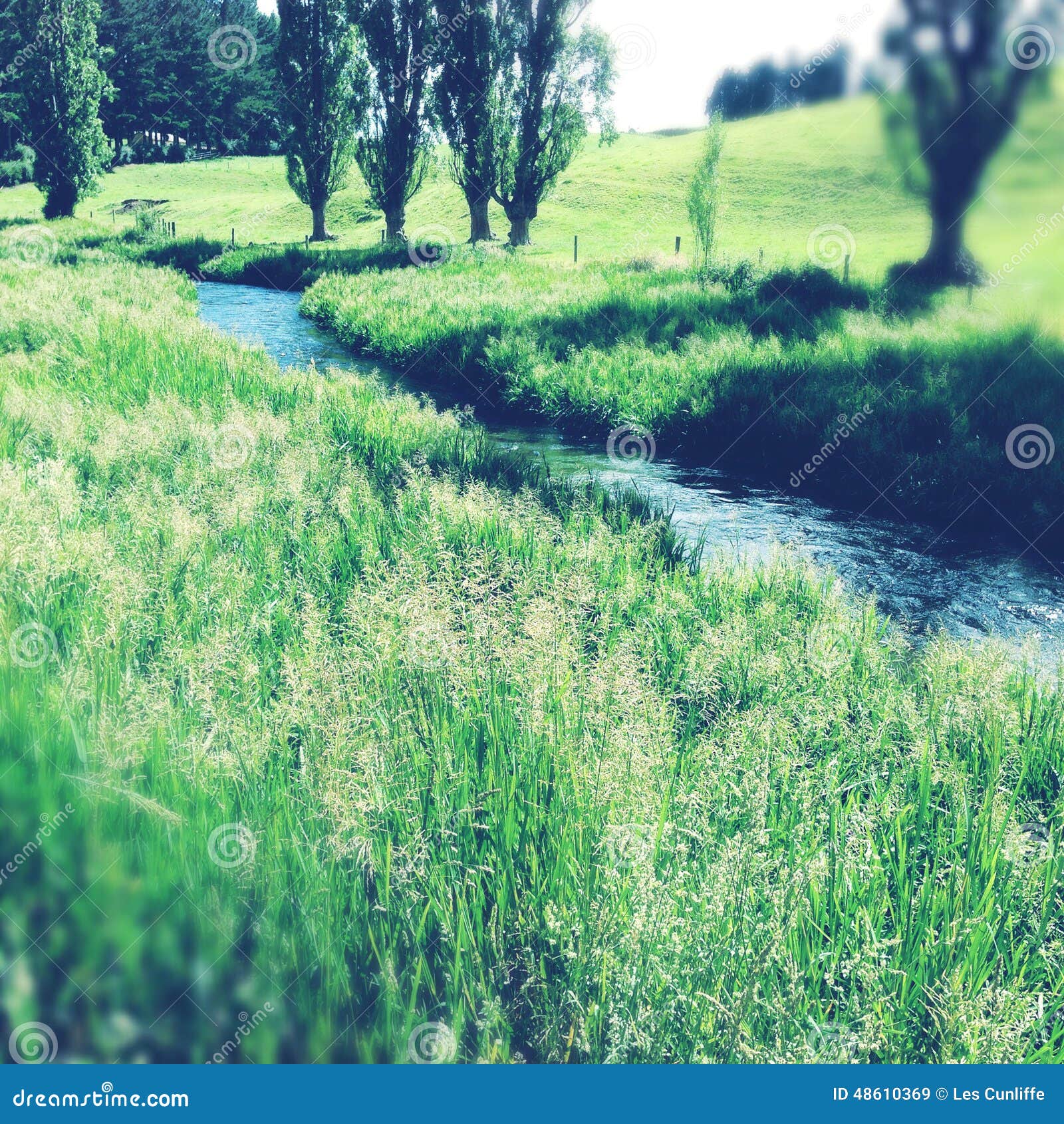 Valley stream stock image. Image of nature, water, summer - 48610369