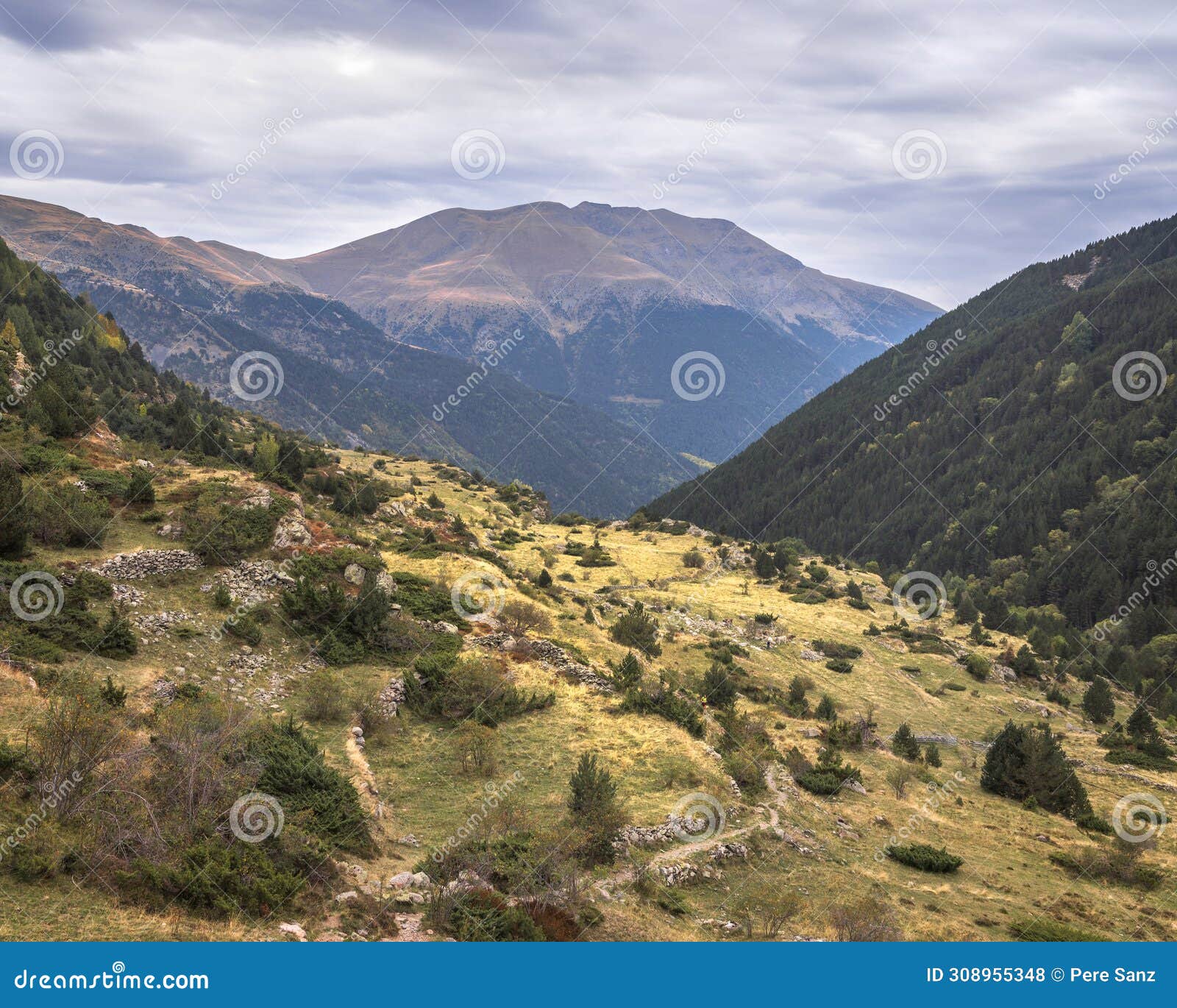 Valley in Vall Fosca in the Catalan Pyrenees Stock Photo - Image of ...