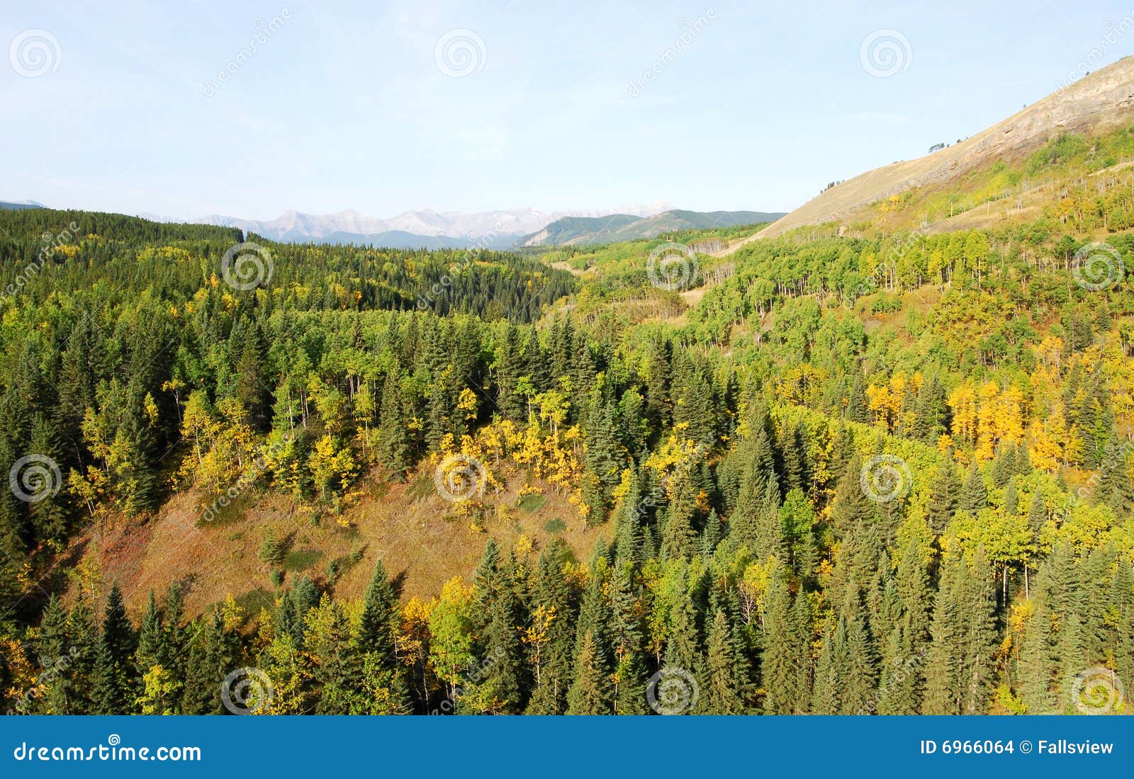 Valley view stock photo. Image of lookout, autumn, autumnal - 6966064