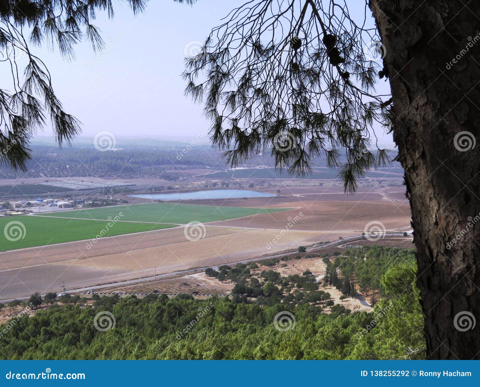 Valley View -Sorek Valley in Israel Stock Photo - Image of leaves ...