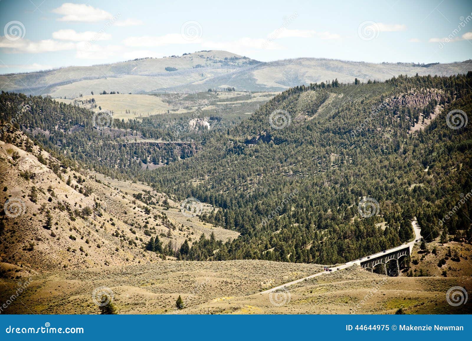 Valley in Yellowstone National Park Stock Image - Image of green ...