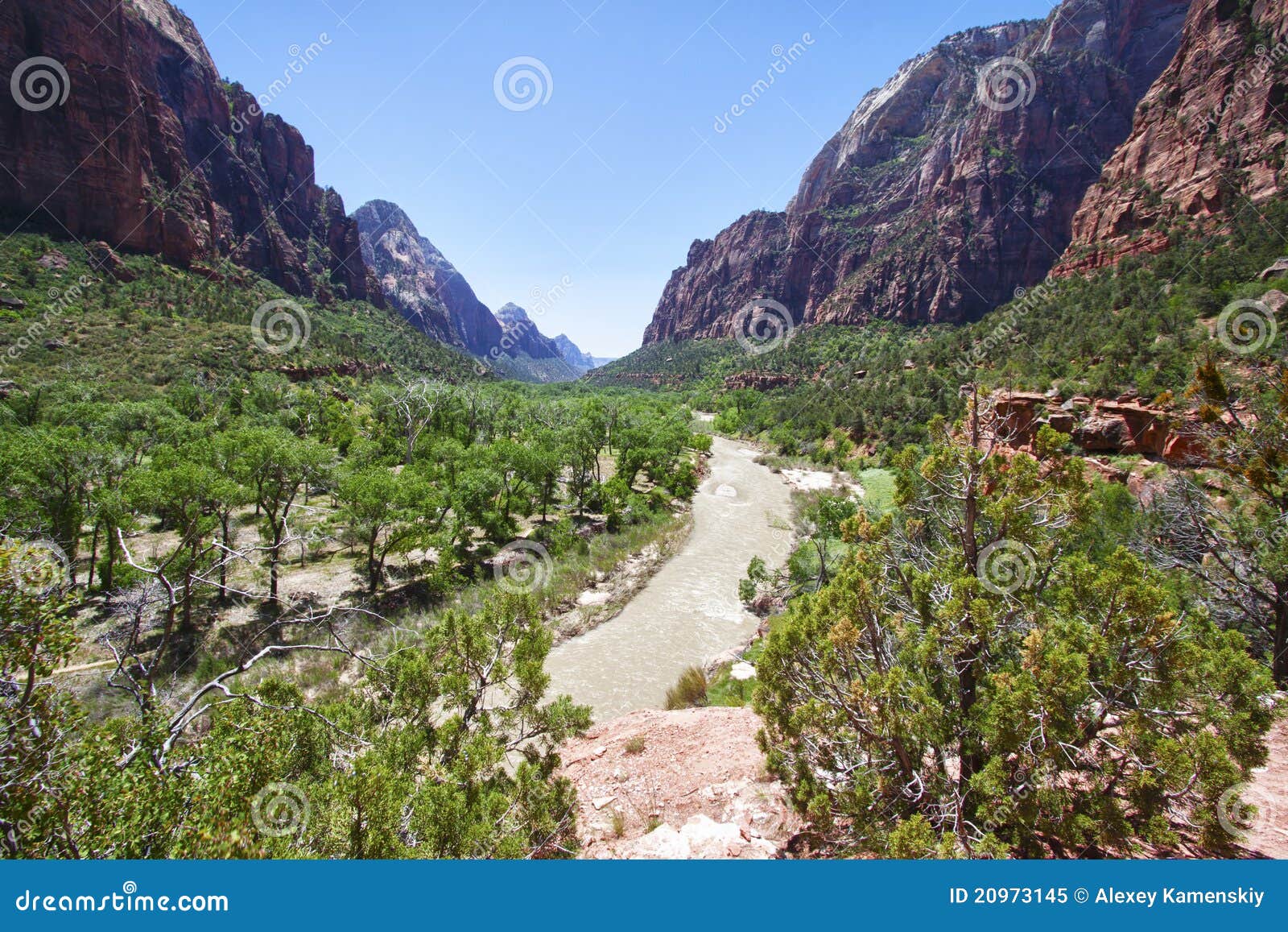 Valley in the Zion Canyon National Park, Utah Stock Image - Image of ...