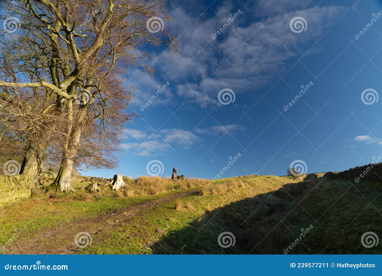 The Vallum, a Roman Earthwork by the Hadrian S Wall Path Stock Image ...